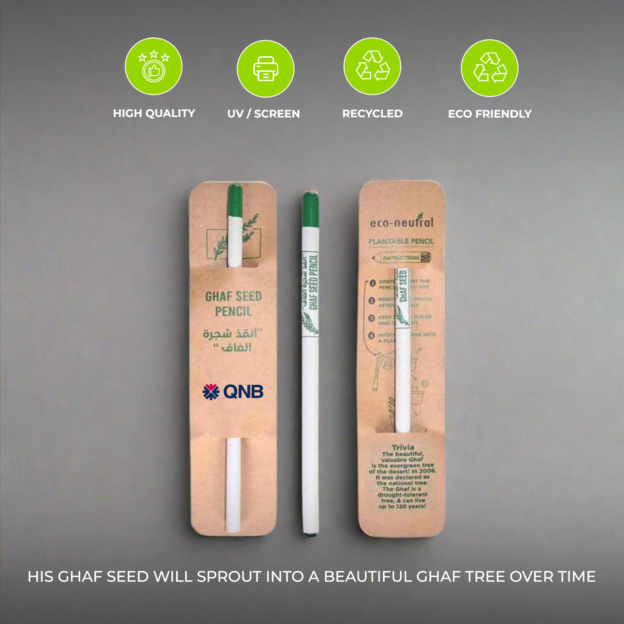 Plantable Ghaf Seed – Gifto Graphics